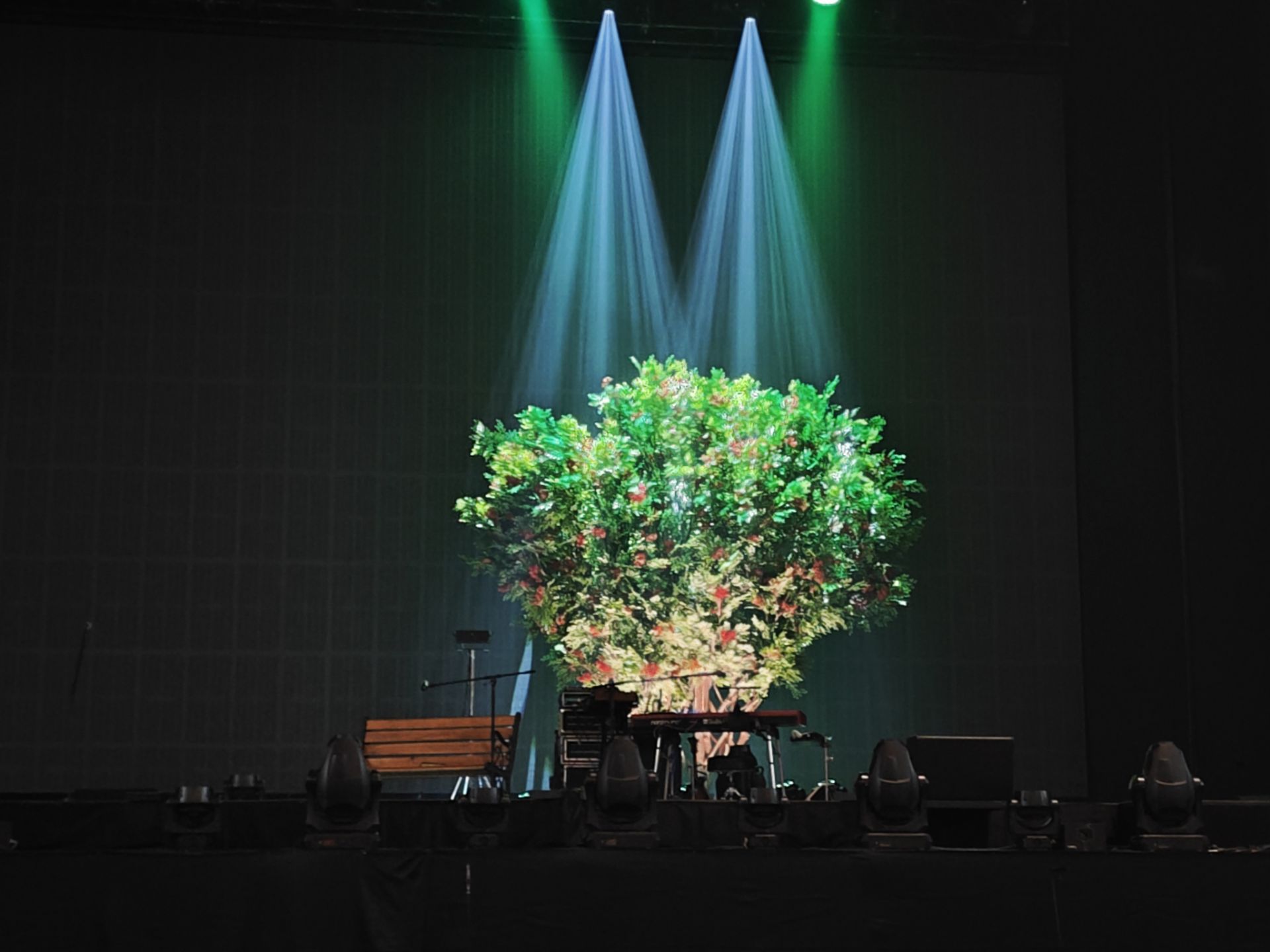 Homepage [walkerme404.github.io]